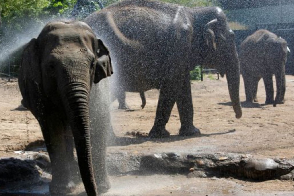 Watertronics | Gallery: Innovative Water Solutions